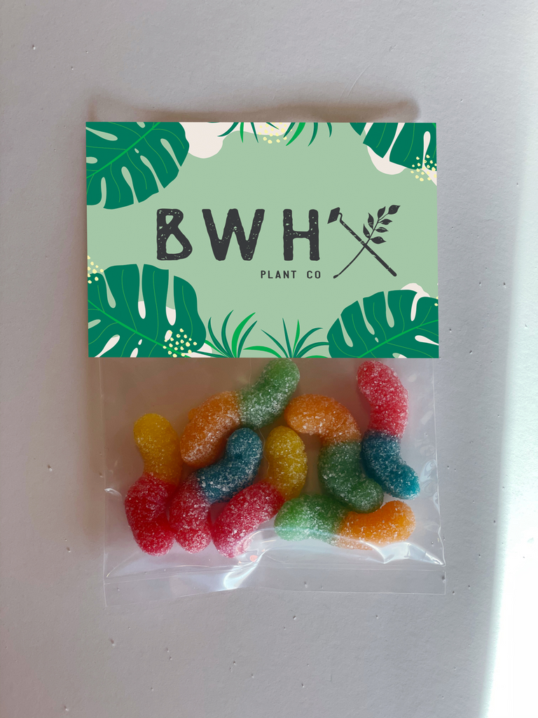 Gummy Worms Promotional Candy Bags with Personalized Logo Headers ...
