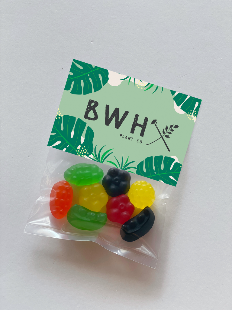 Custom Logo Promotional Candy Bags – Branded Trade Show Giveaways (Juj ...