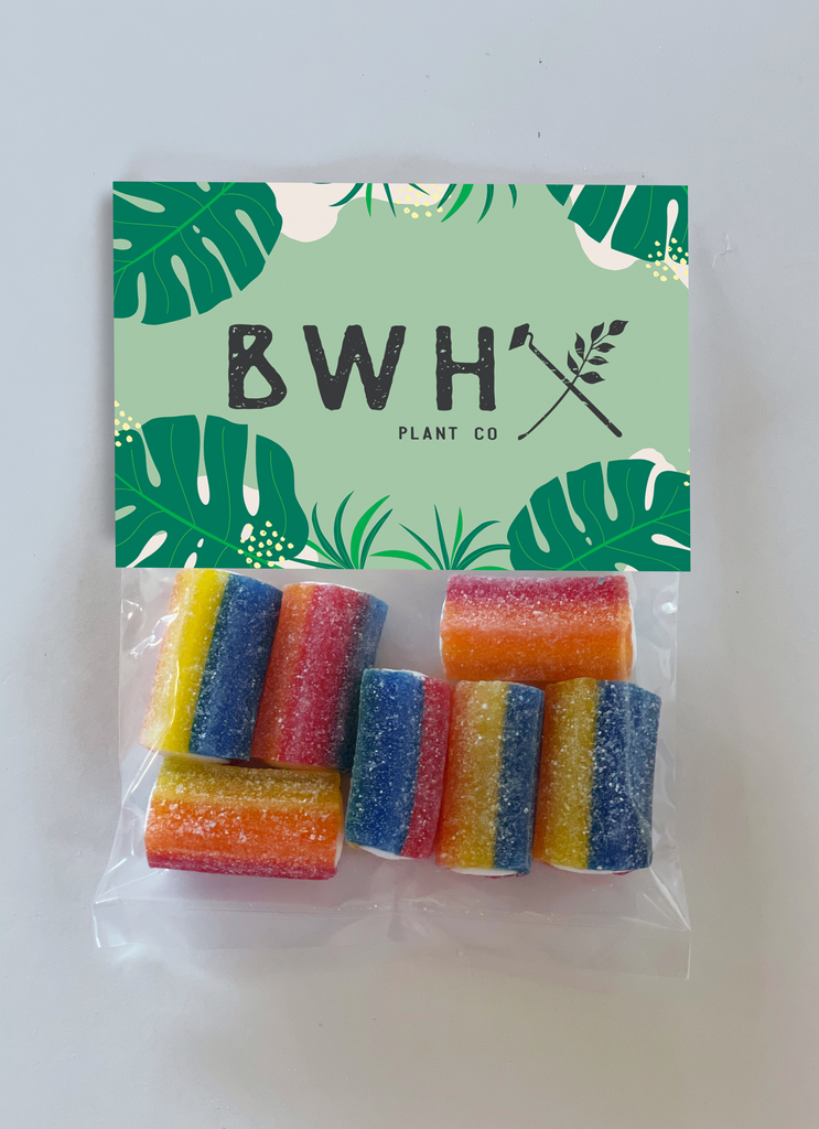 Rainbow Chews Promotional Candy Bags with Personalized Logo Headers ...