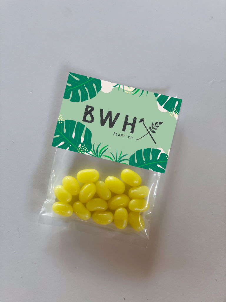 Promotional Candy Bags with Personalized Logo Headers (Jelly Beans ...